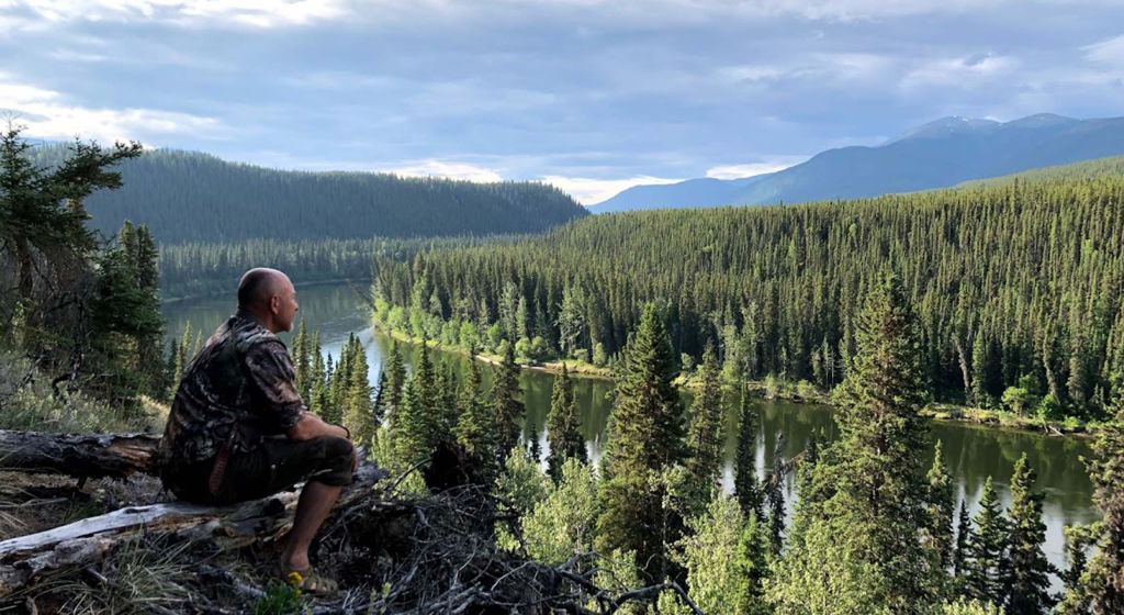 Home [www.bodnikbows.com]